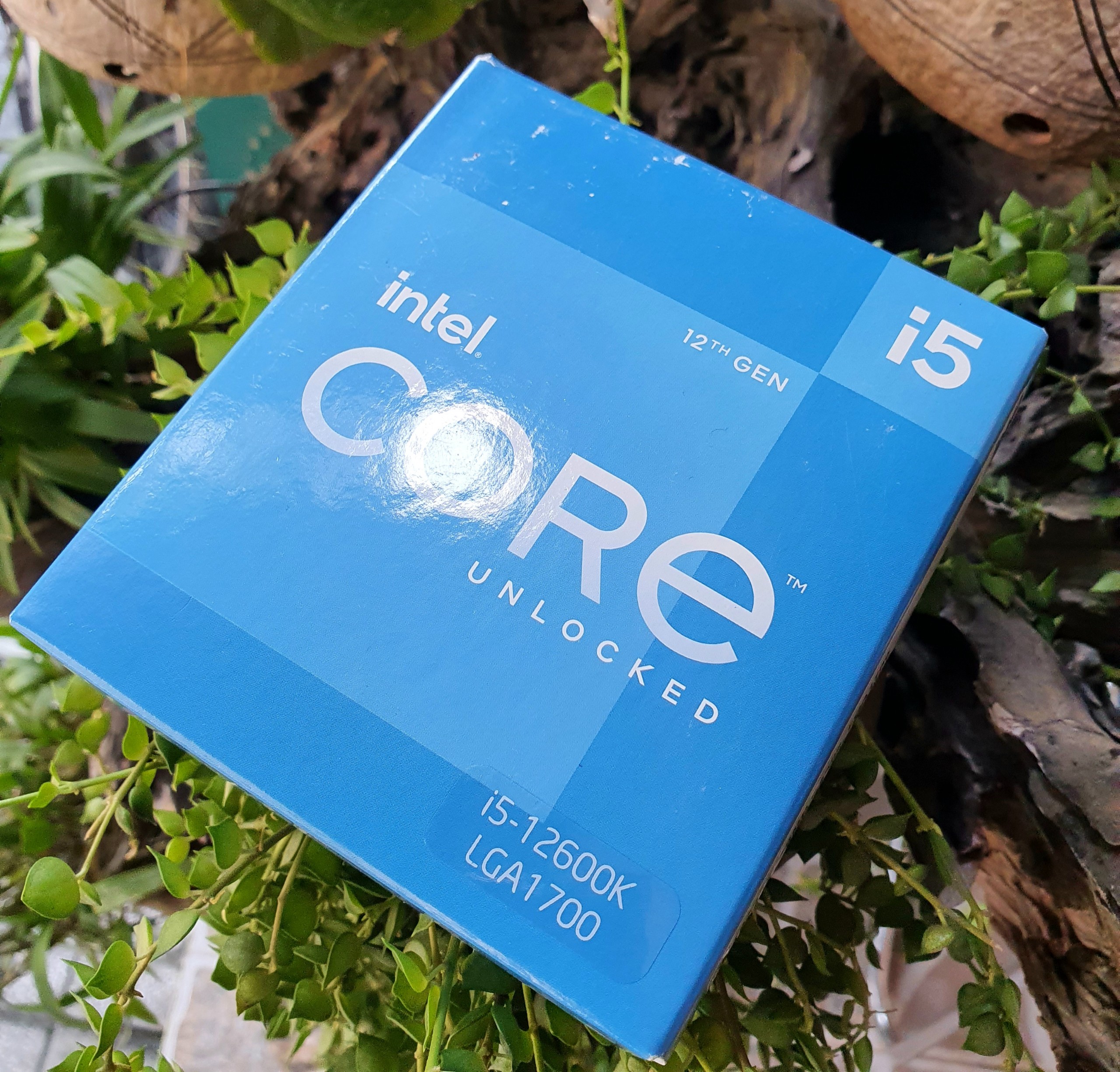 CPU Intel Core i5-12600K (20M Cache, up to 4.90 GHz, 10C16T, Socket ...
